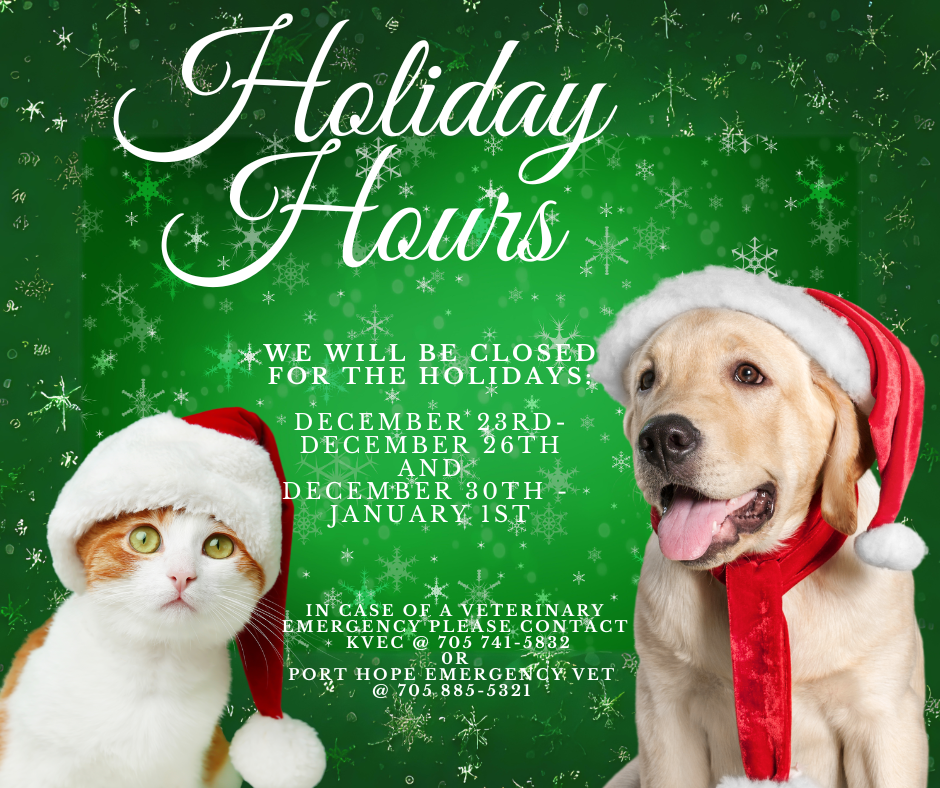 Dale Veterinary Clinic - Port Hope, Ontario - Poisonous Plants